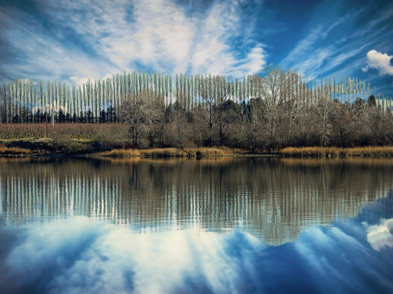 The tree line - Chris Snyder on Fstoppers
