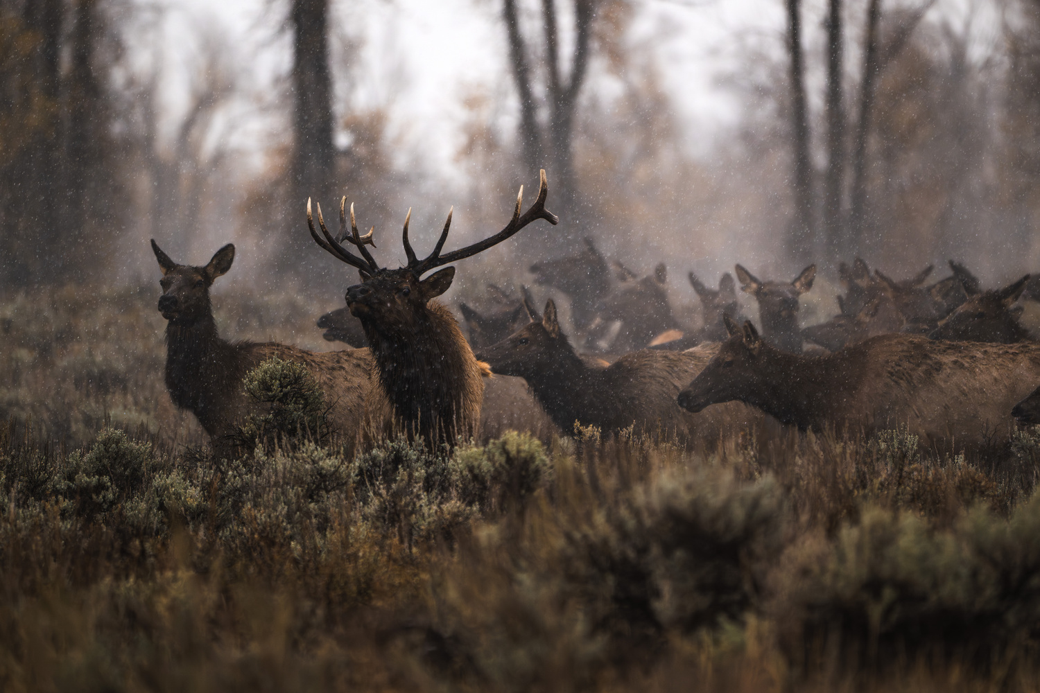 The Great Outdoors Contest Entry by Tim Fuchs | Fstoppers