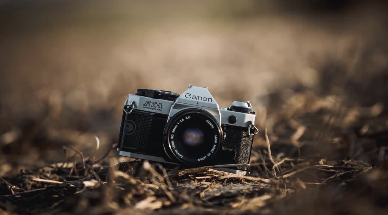 Shallow Depth of Field / Bokeh Contest Entry by Robert Deak | Fstoppers