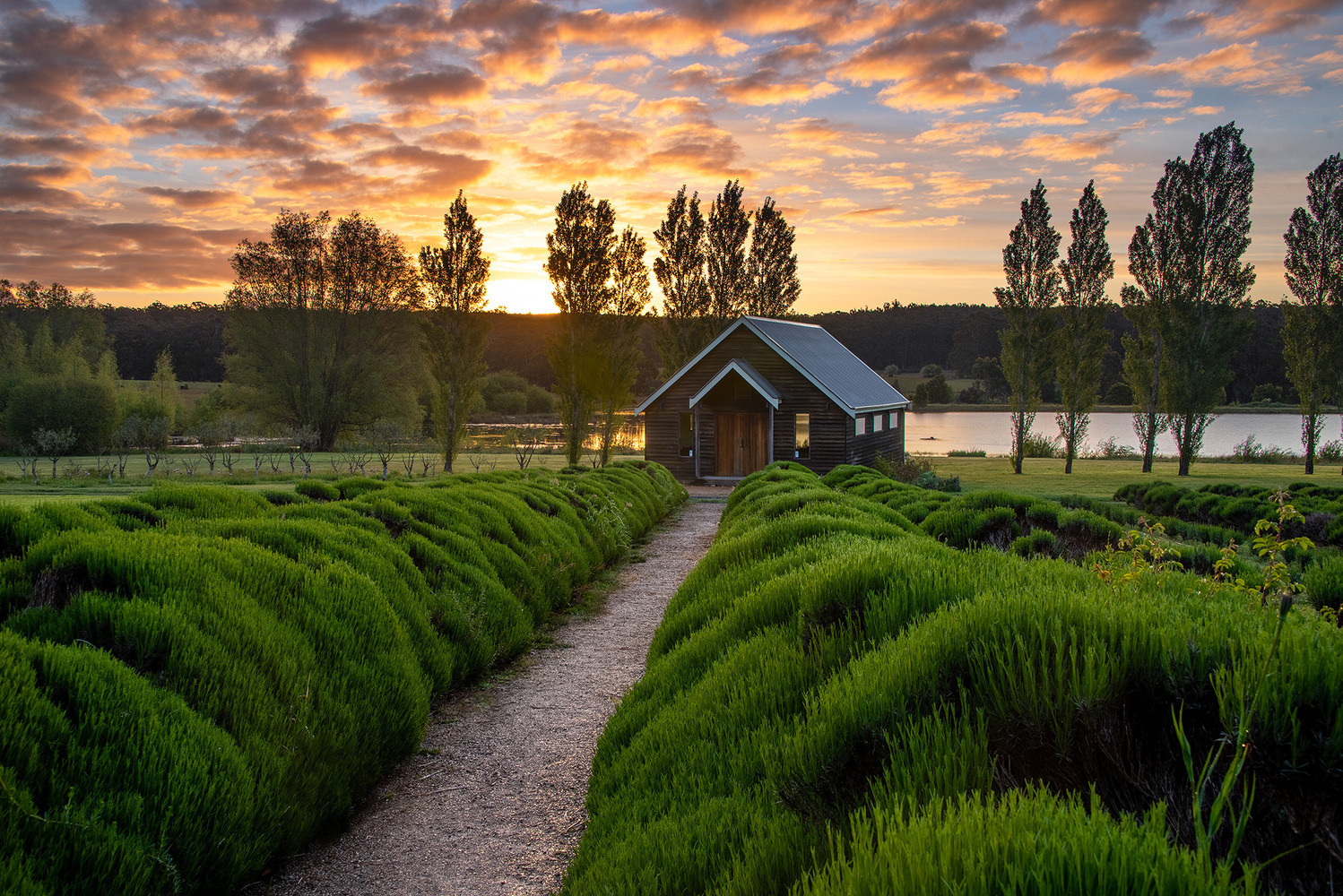 Daylesford Sunset - Donald Yip on Fstoppers