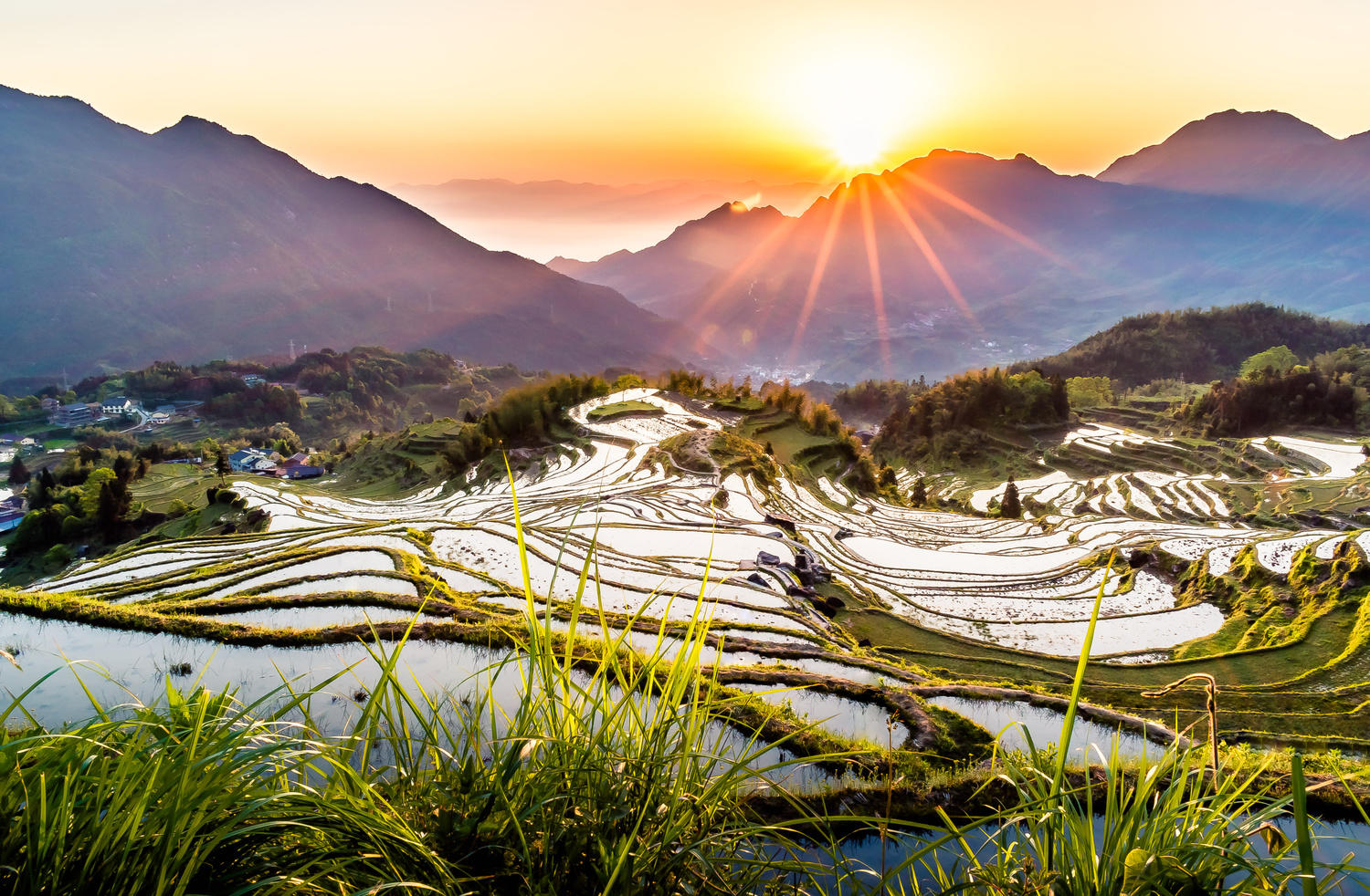 Yunhe Rice Terrace - Henrik Forsting on Fstoppers