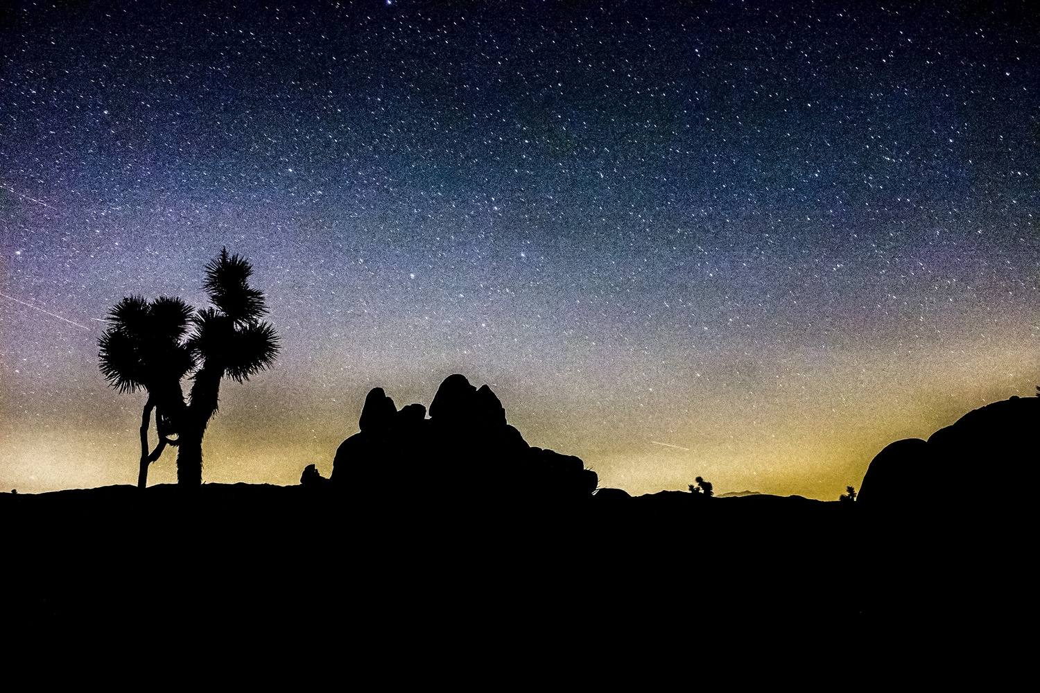 Starry sky over Joshua Tree - Markus Baumbach on Fstoppers