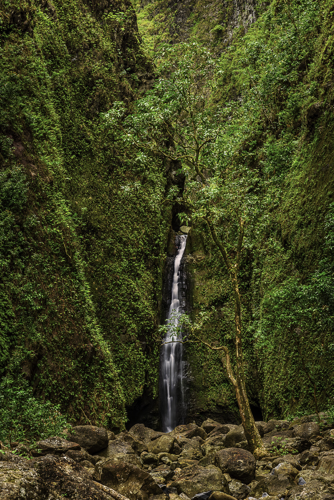 Hawaiian Valley Waterfall by Justin Treakle | Fstoppers