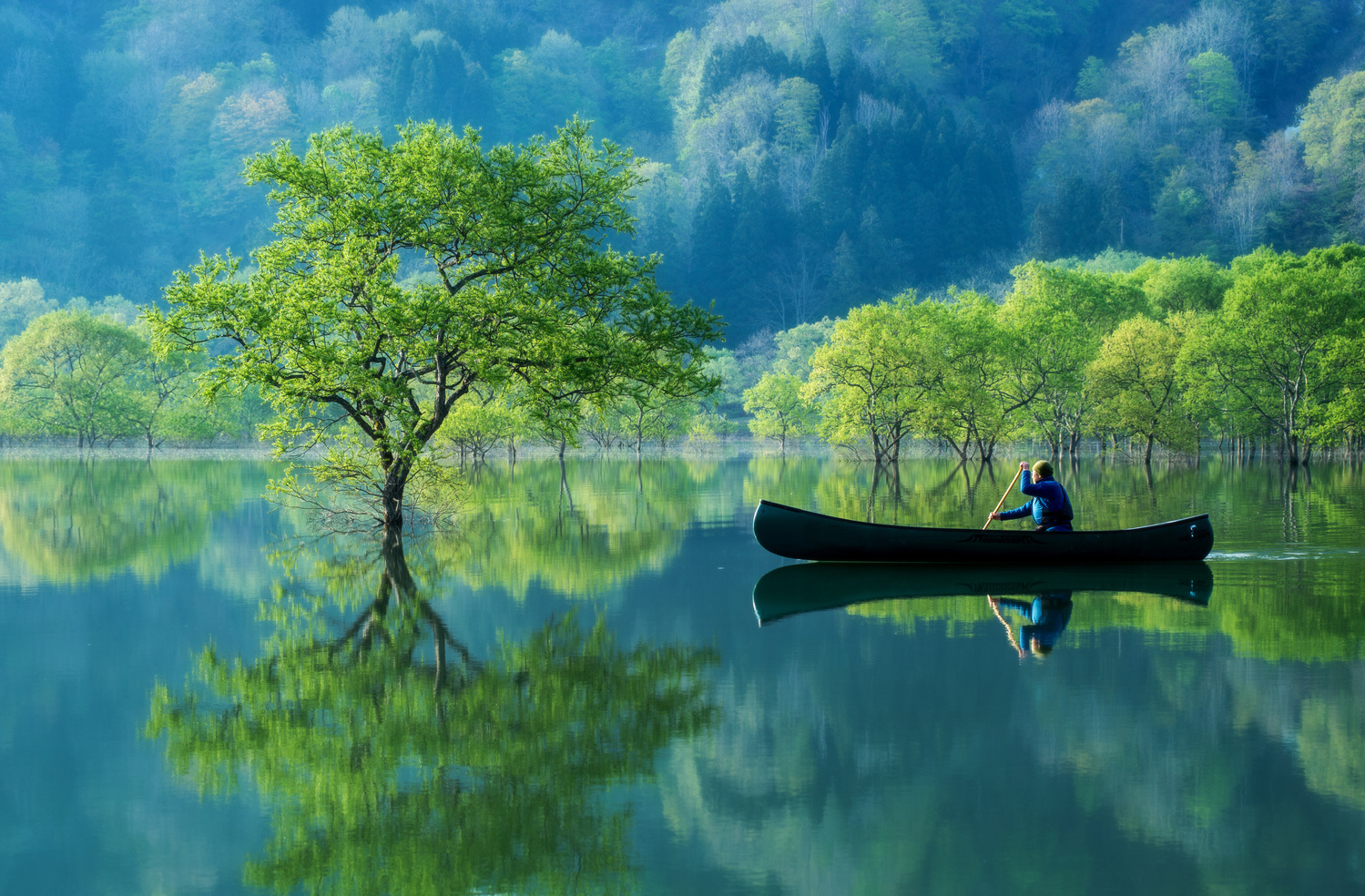 Submerged forest floating in the morning - kazuaki koseki on Fstoppers