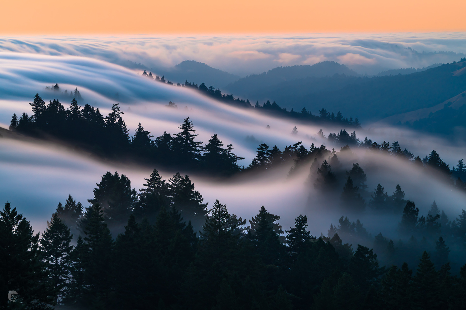 Fog Dreams - Alexander Davidovich on Fstoppers
