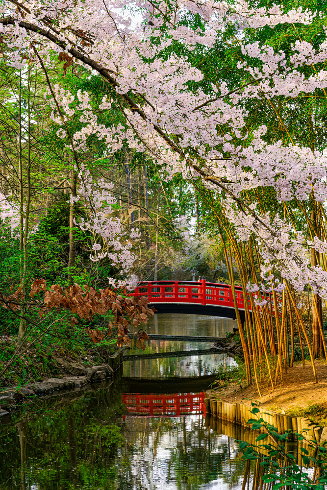 Taste of Japan - Kyle Foreman on Fstoppers