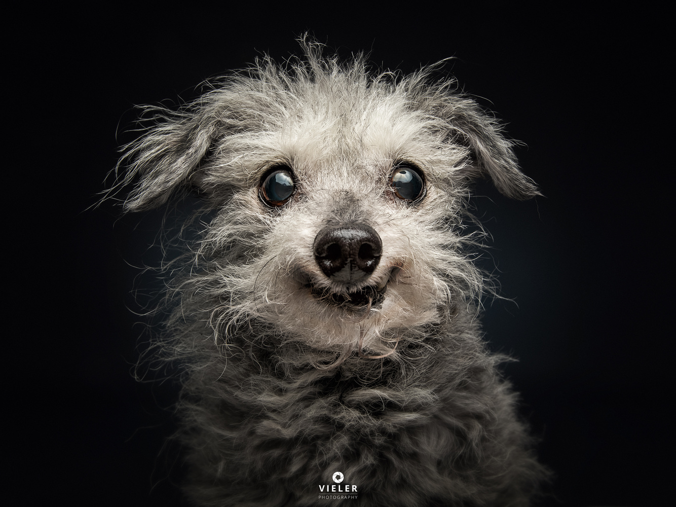 Pure joy - Christian Vieler on Fstoppers