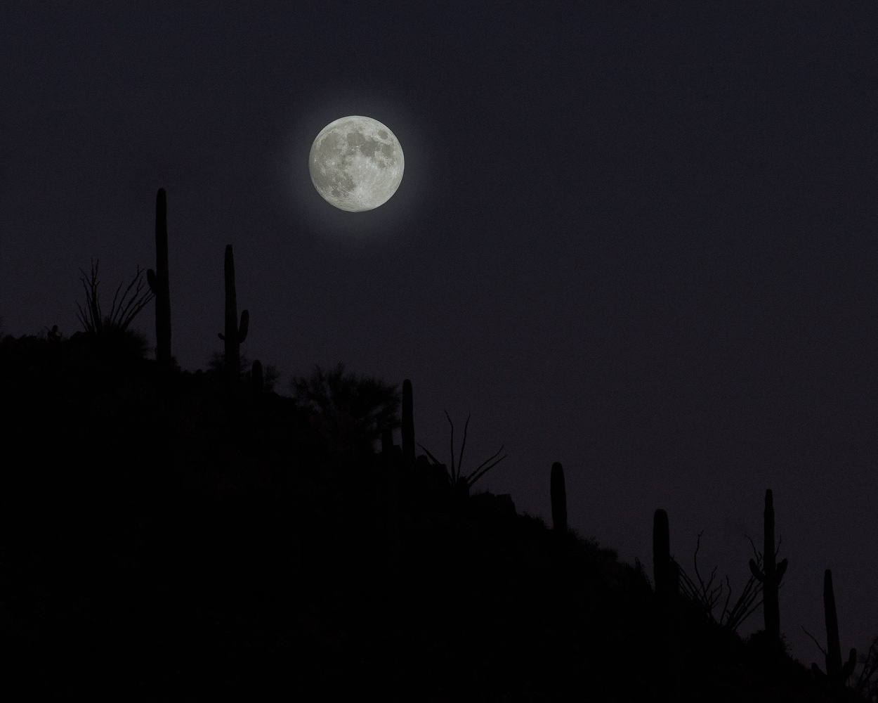 Full Moon Over Arizona Desert - Dave Zeldin on Fstoppers