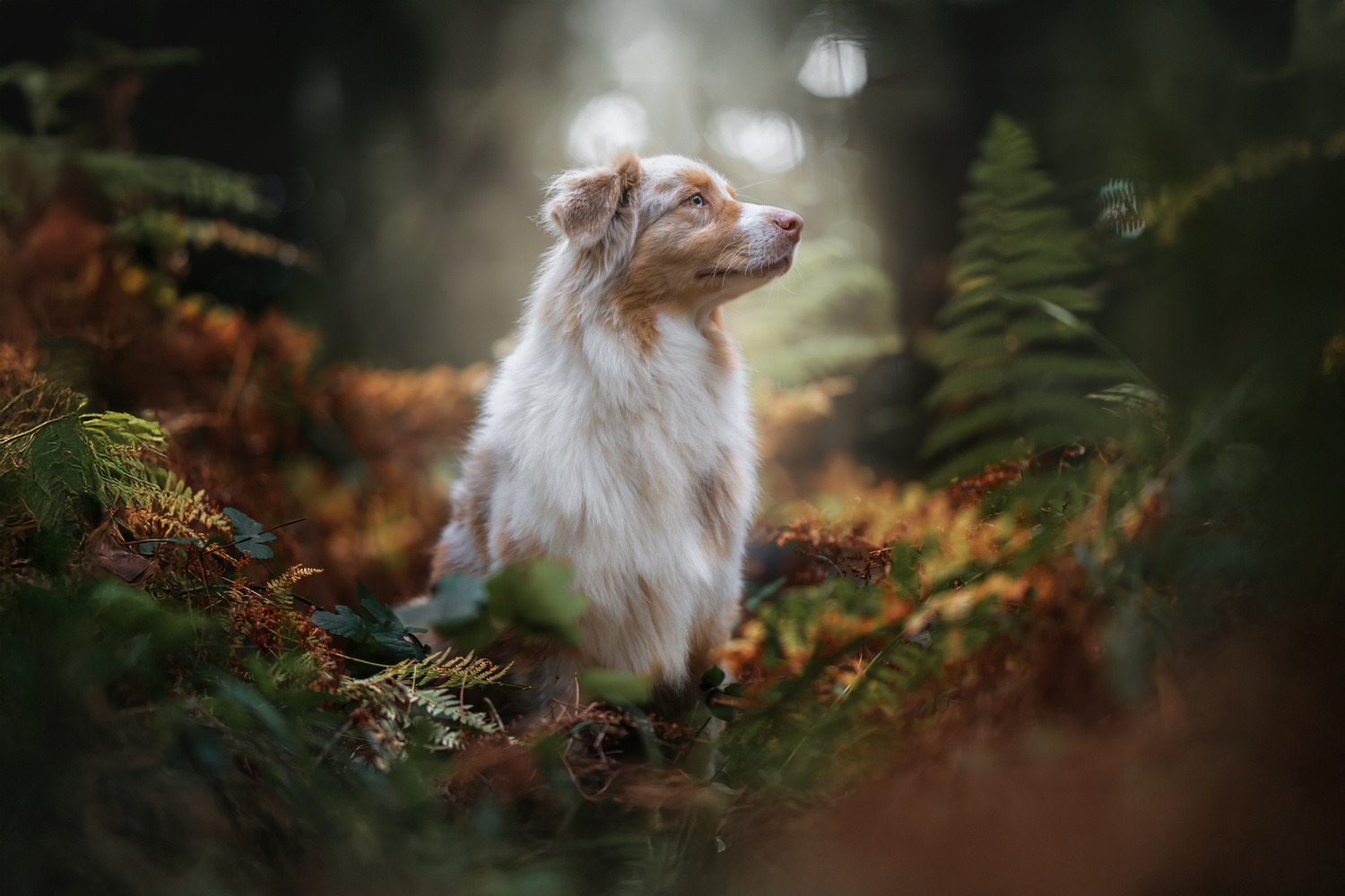 Alsoss - alfonso maseda varela on Fstoppers