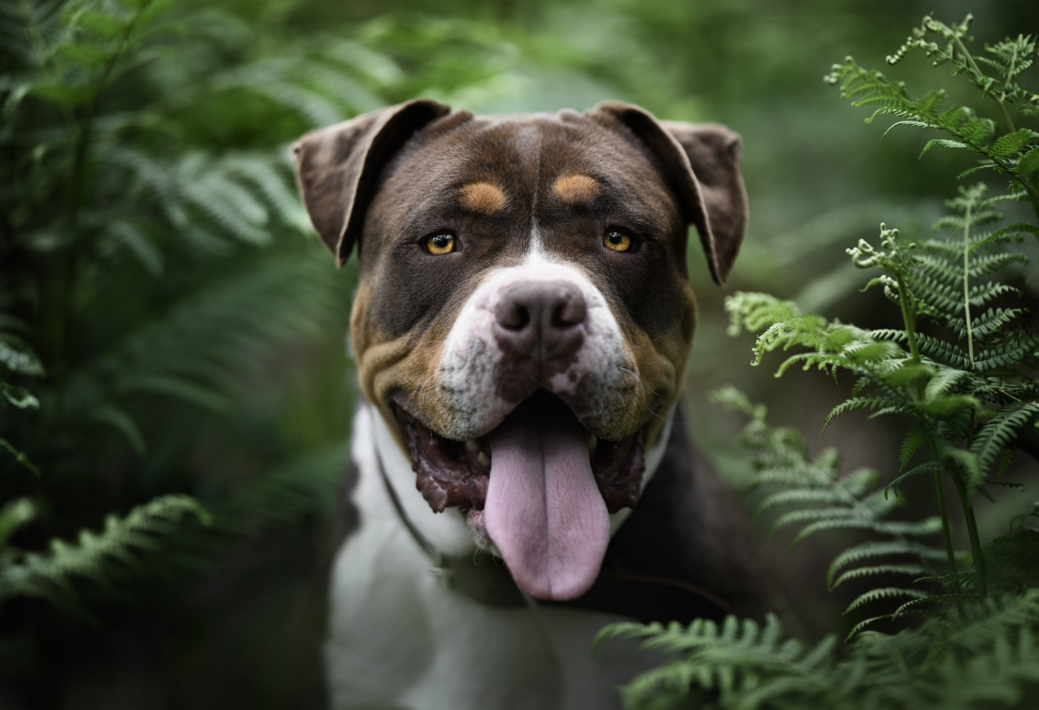 Bastian - alfonso maseda varela on Fstoppers