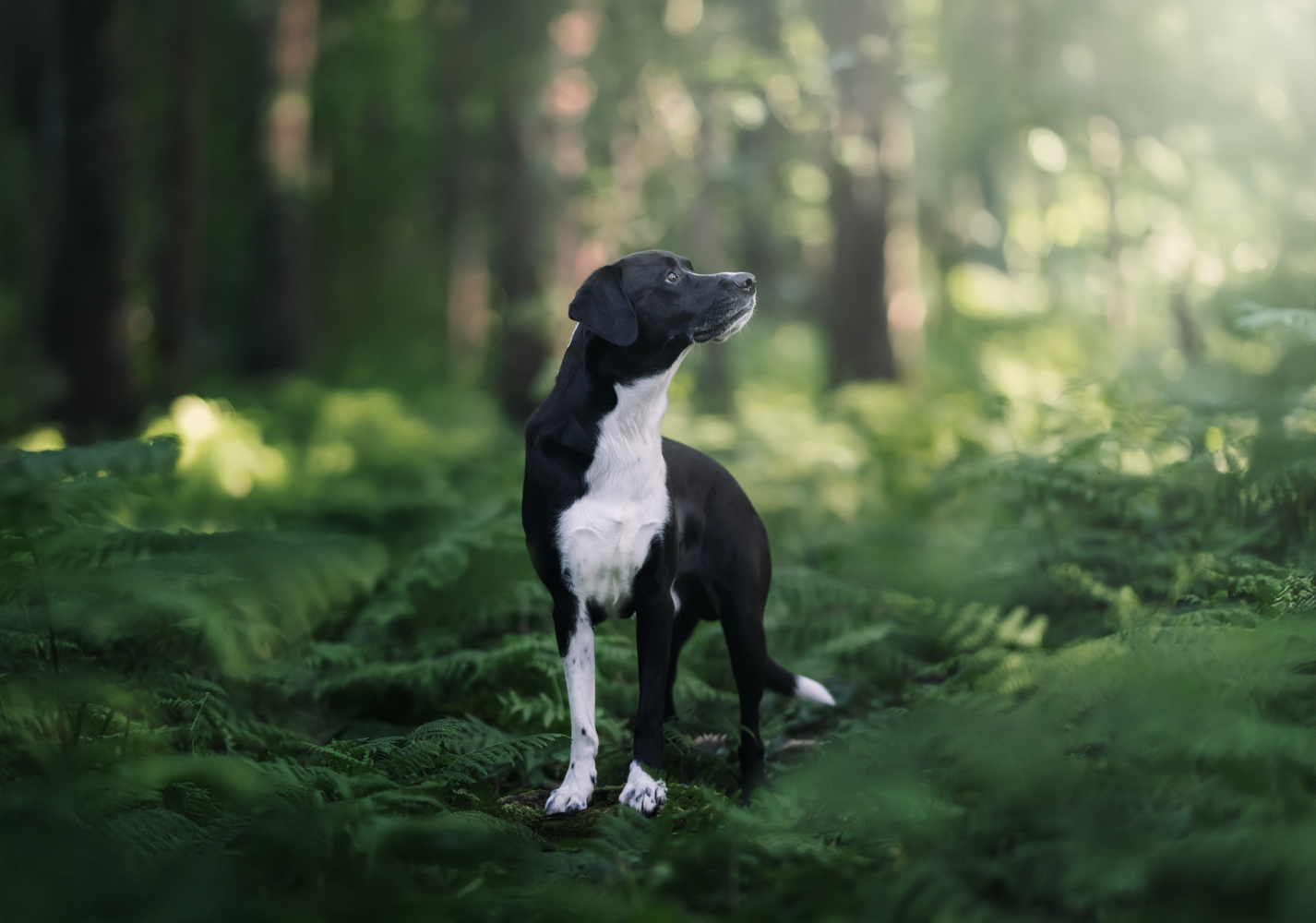 Fu - alfonso maseda varela on Fstoppers