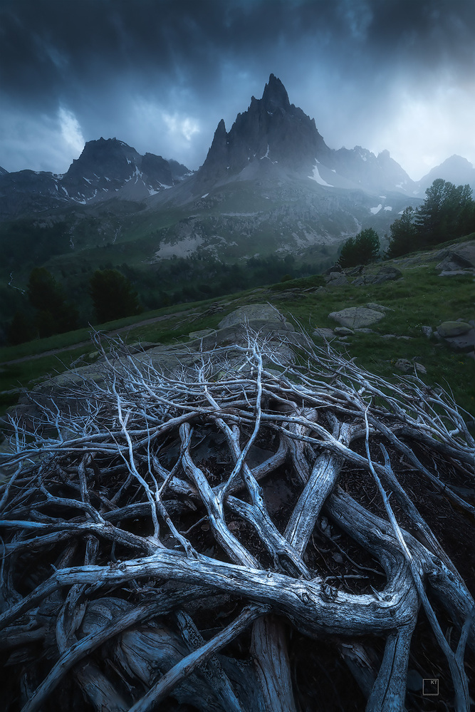 Mountain roots - Kevin Teerlynck on Fstoppers