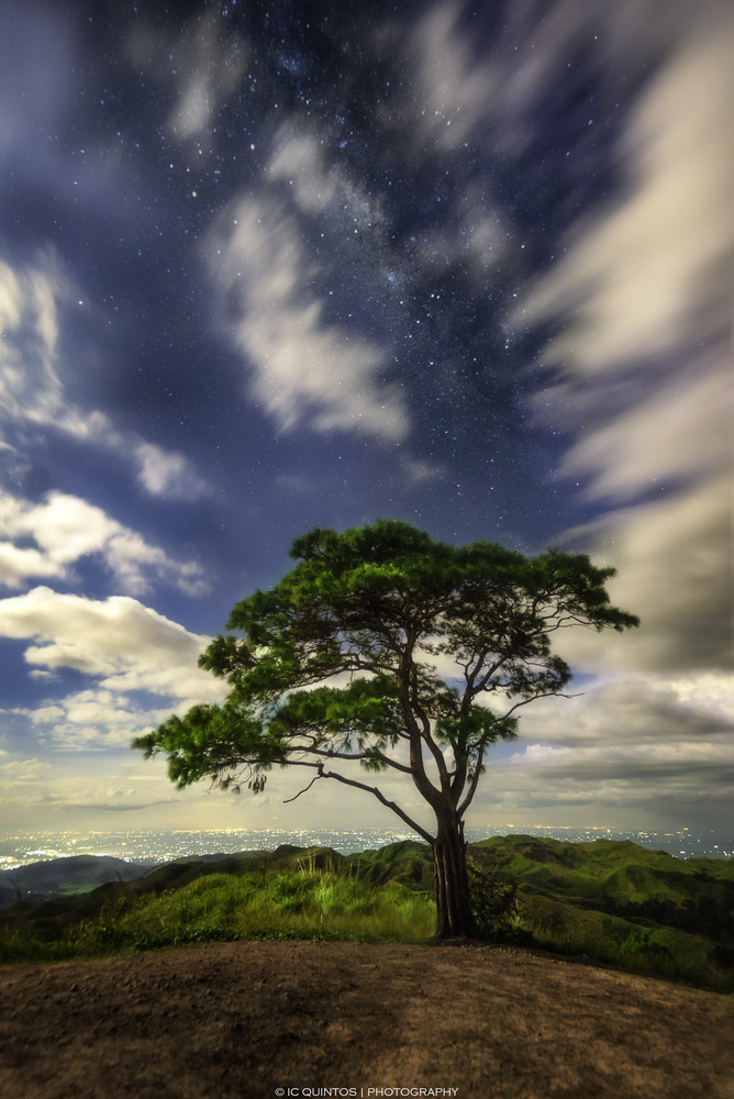 Stars Above the Lover's Tree - Ivann Quintos on Fstoppers