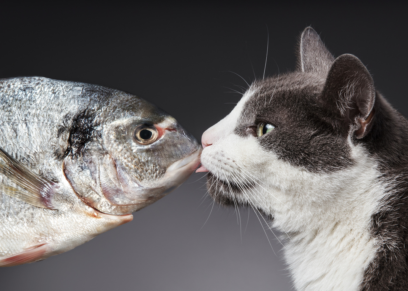 Pucker Up - Rhiannon Buckle on Fstoppers