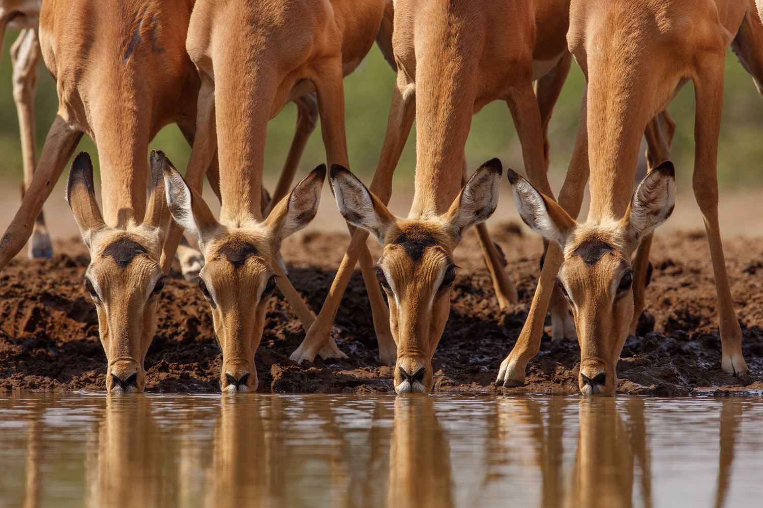 Time to drink - Russell Hunter on Fstoppers