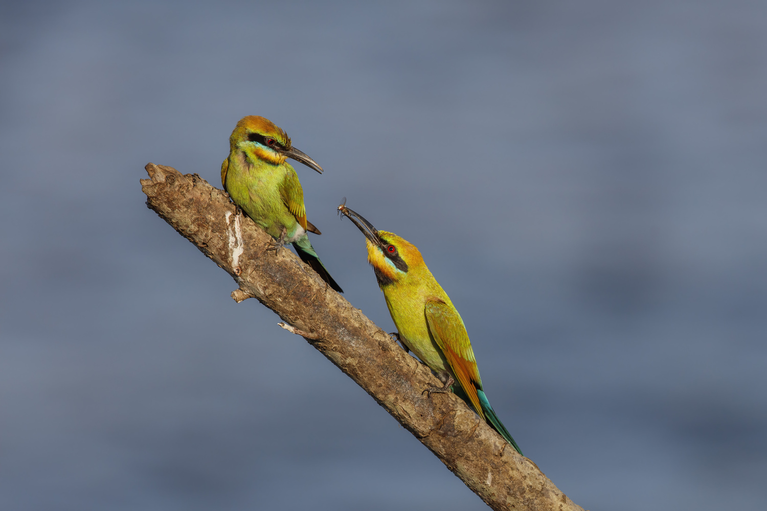 A gift for you - Russell Hunter on Fstoppers