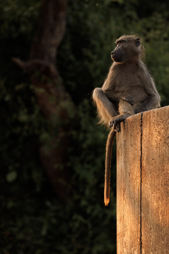 Last light - Russell Hunter on Fstoppers