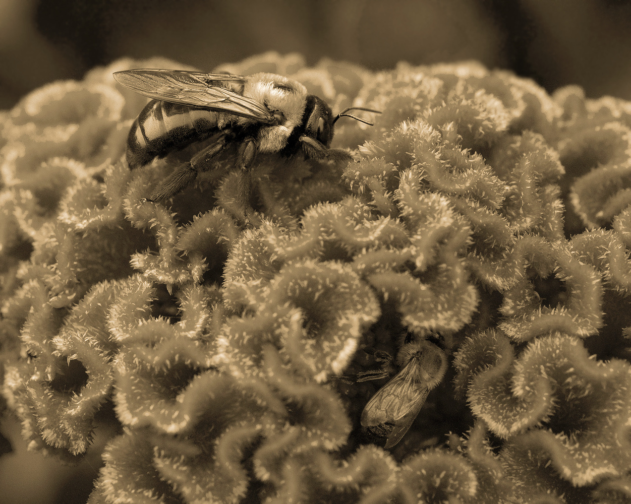 Shallow Depth of Field / Bokeh Contest Entry by Mark Riedy | Fstoppers