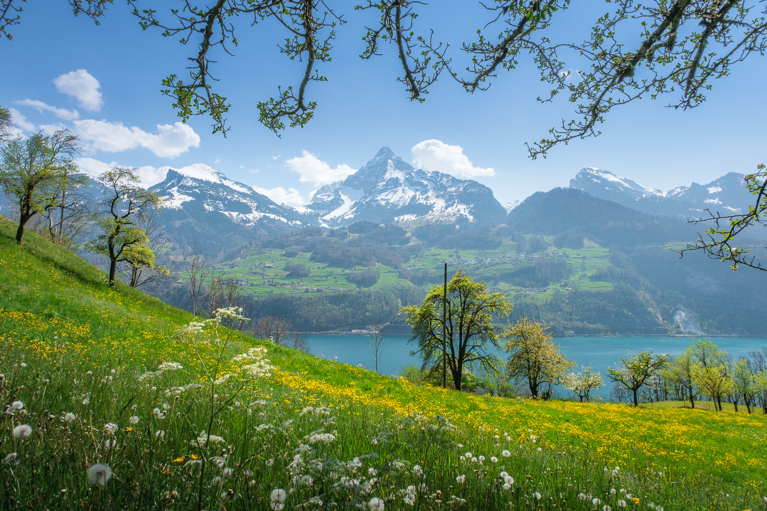 Swiss Spring - Anton Galitch on Fstoppers