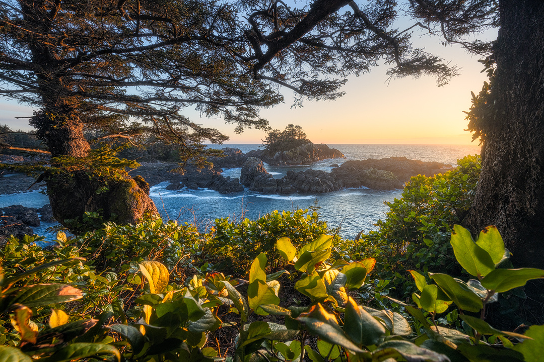 West Coast Frame - Jacob Klassen on Fstoppers