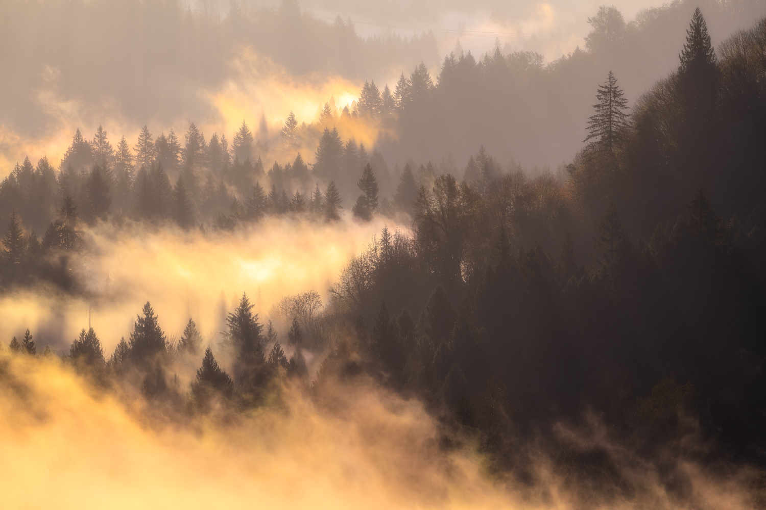 Warmth of the Sun - Daniel Gomez on Fstoppers