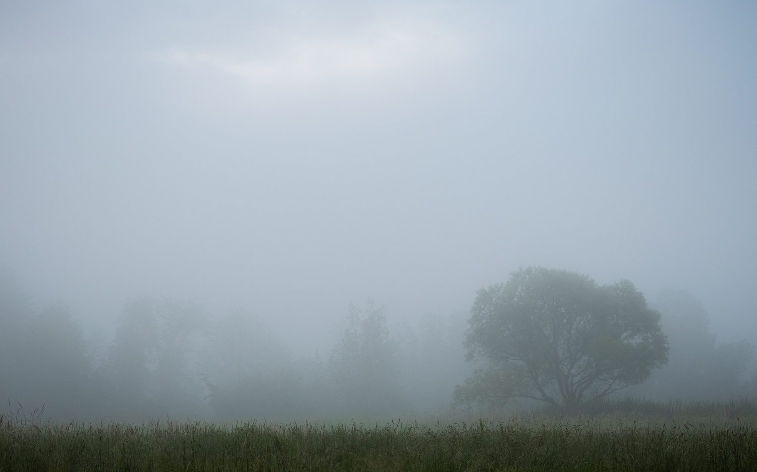 Breaking through the fog - Alan Brown on Fstoppers