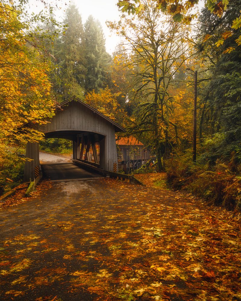 Fall Covered Bridge - John Byrn on Fstoppers