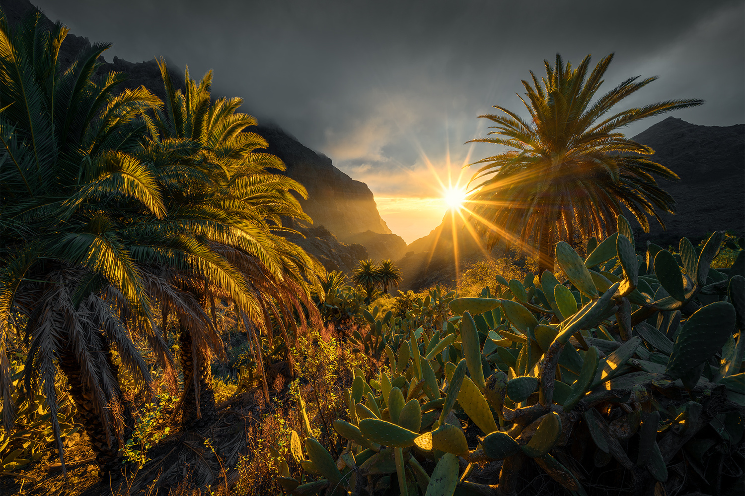 Primeval Valley - Christian S. on Fstoppers