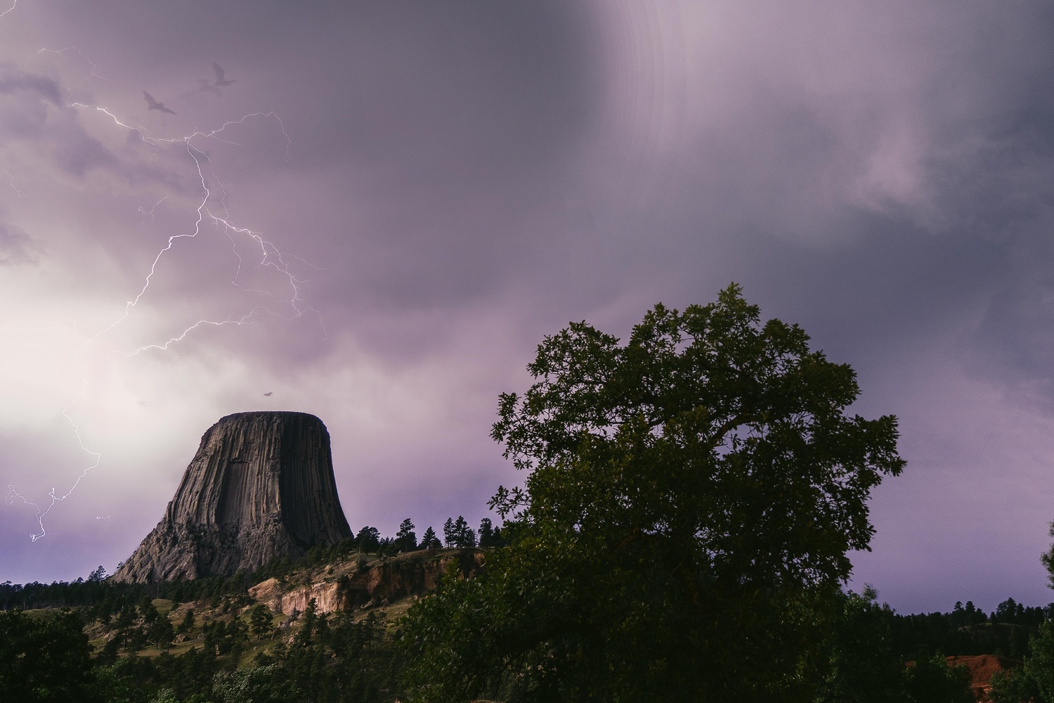 Lightning Over The Devils Tower - Michael Auffant on Fstoppers