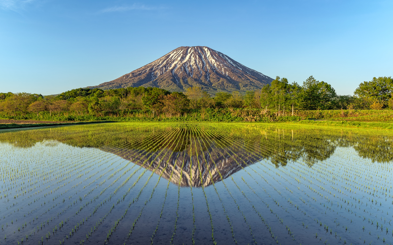 Ezo Fuji reflected in the rice fields - yuusei nagahata on Fstoppers