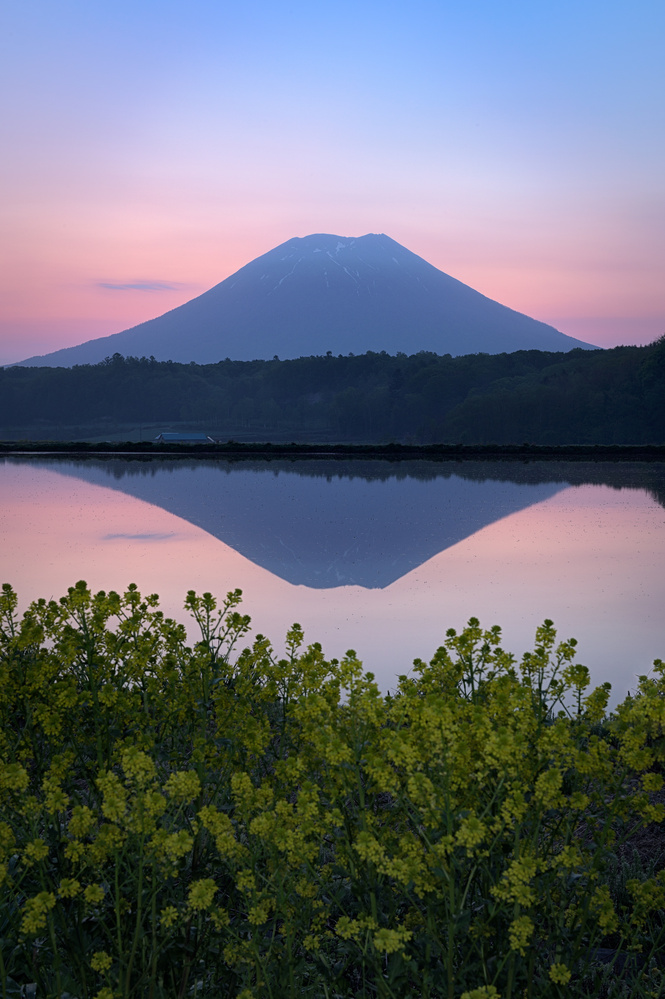 Ezo Fuji reflected in rice paddies - yuusei nagahata on Fstoppers