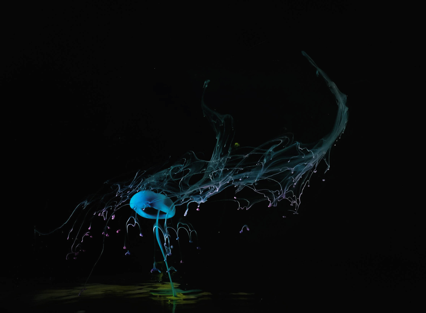 Deep Sea Mushroom 2 - Ruth Carll on Fstoppers