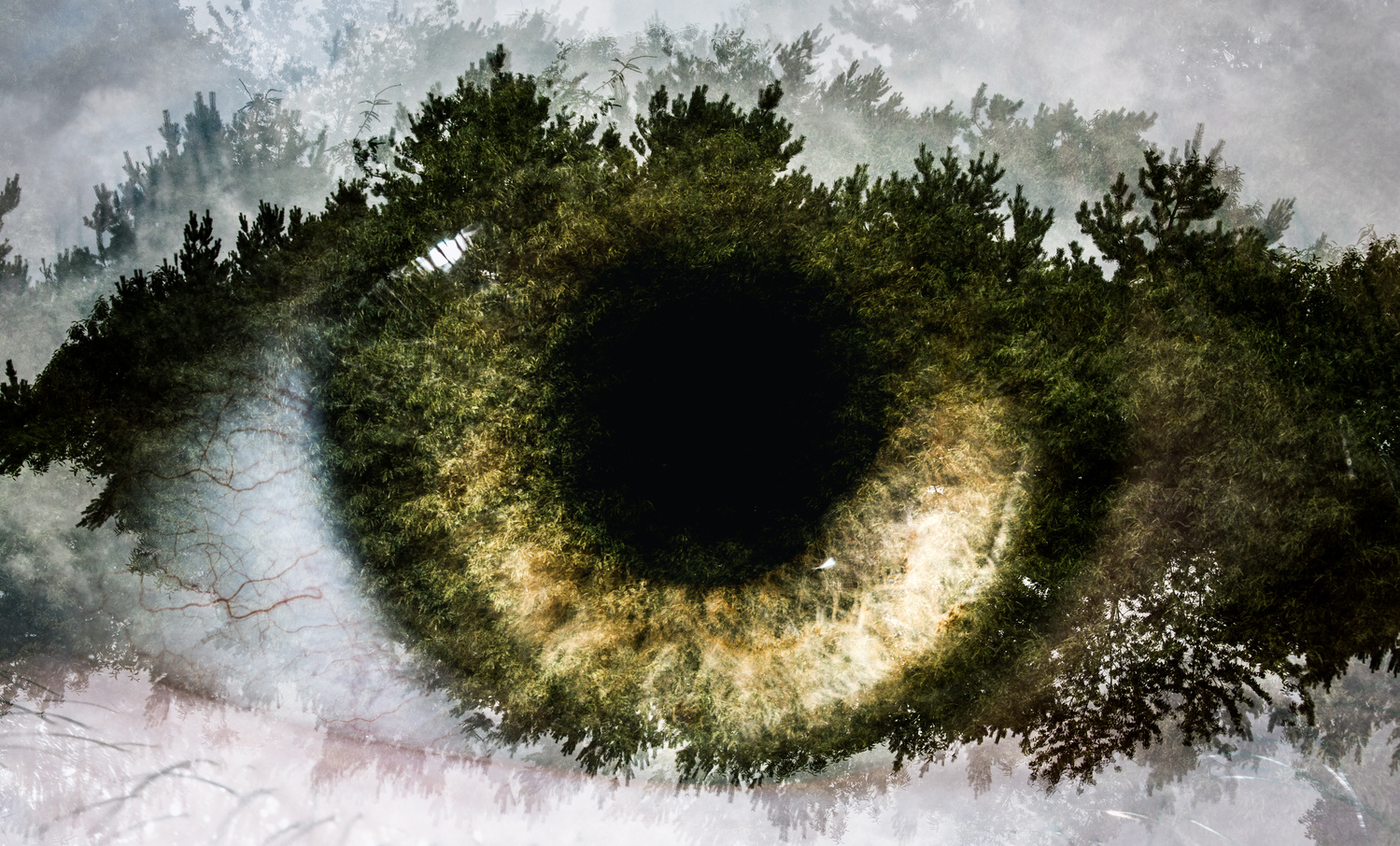 Eyes - The Forest - Ben Dauré on Fstoppers