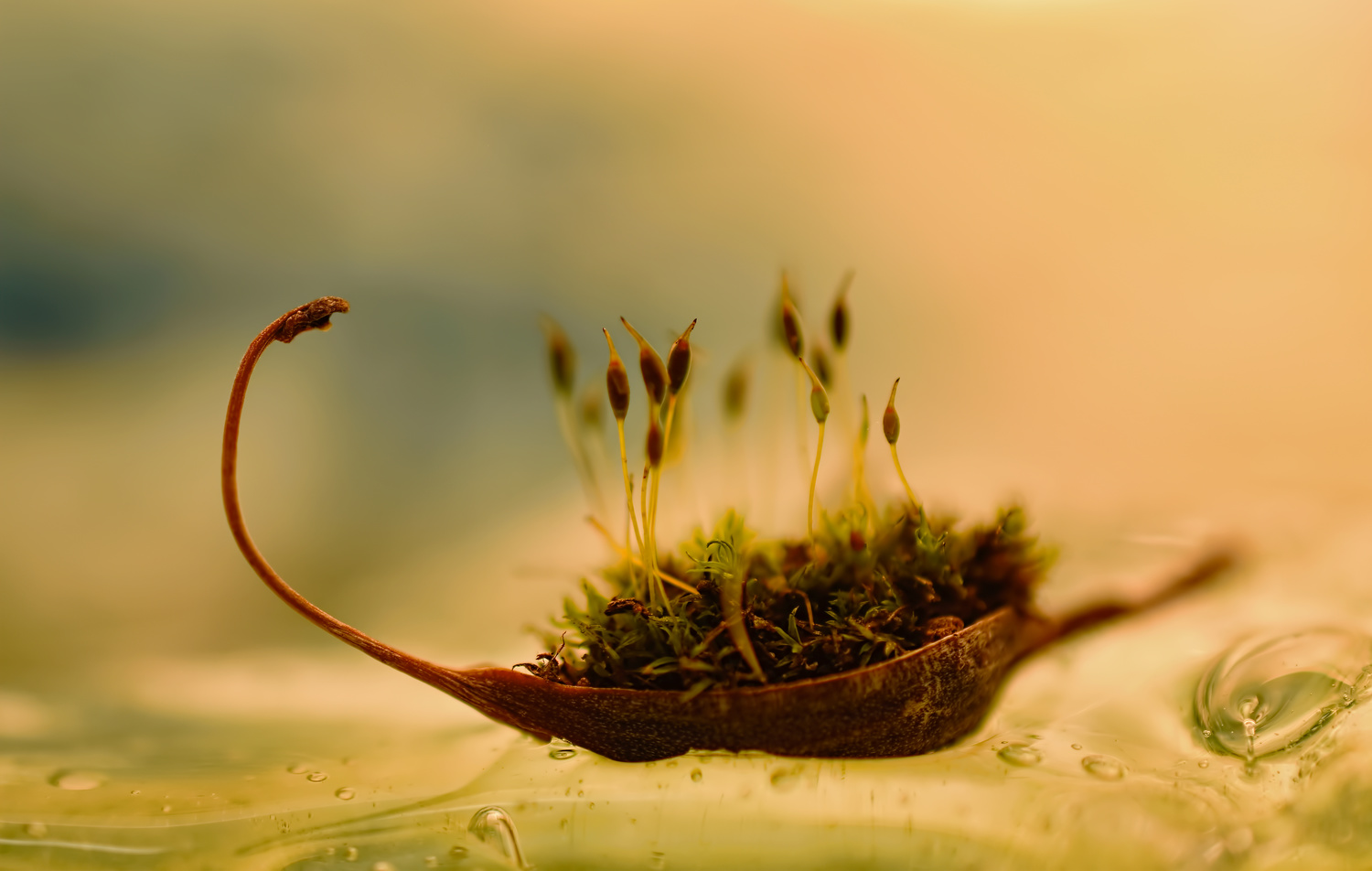 The Little Big Adventure - Sandra McCabe on Fstoppers