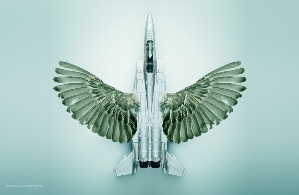 Mutant Plane-Bird - Roberto Adrian Sanchez on Fstoppers
