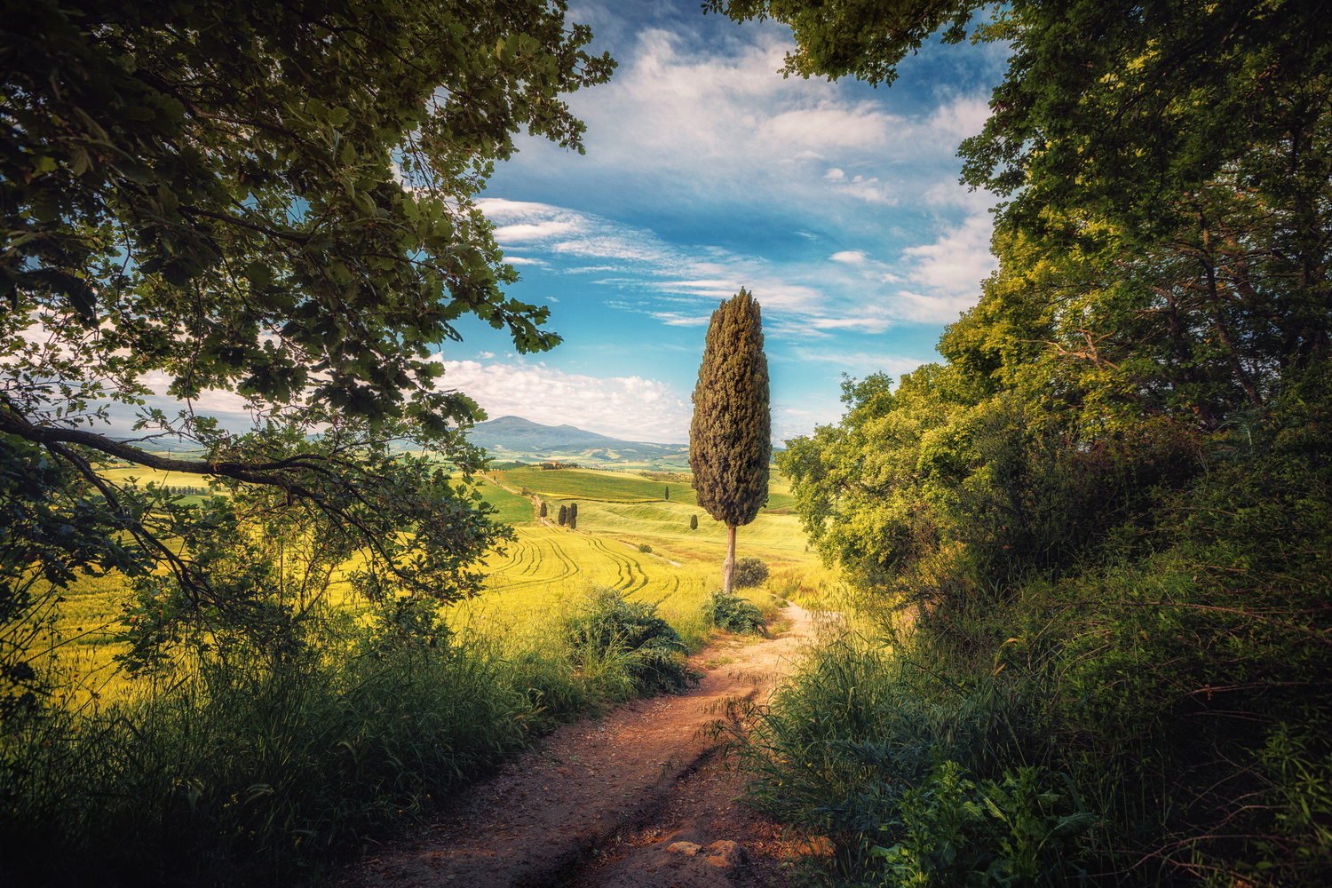 Gladiator - Paulian Prajitura on Fstoppers