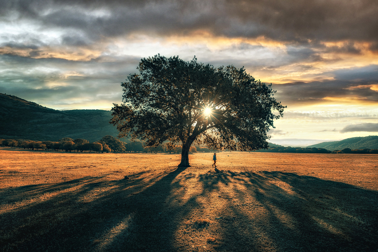 Morning walk - Paulian Prajitura on Fstoppers