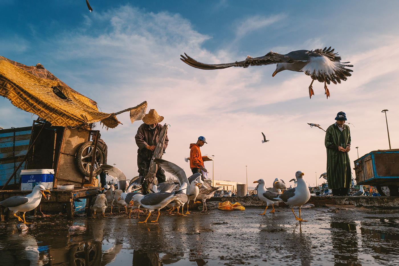 Fish market - Leonard R. on Fstoppers