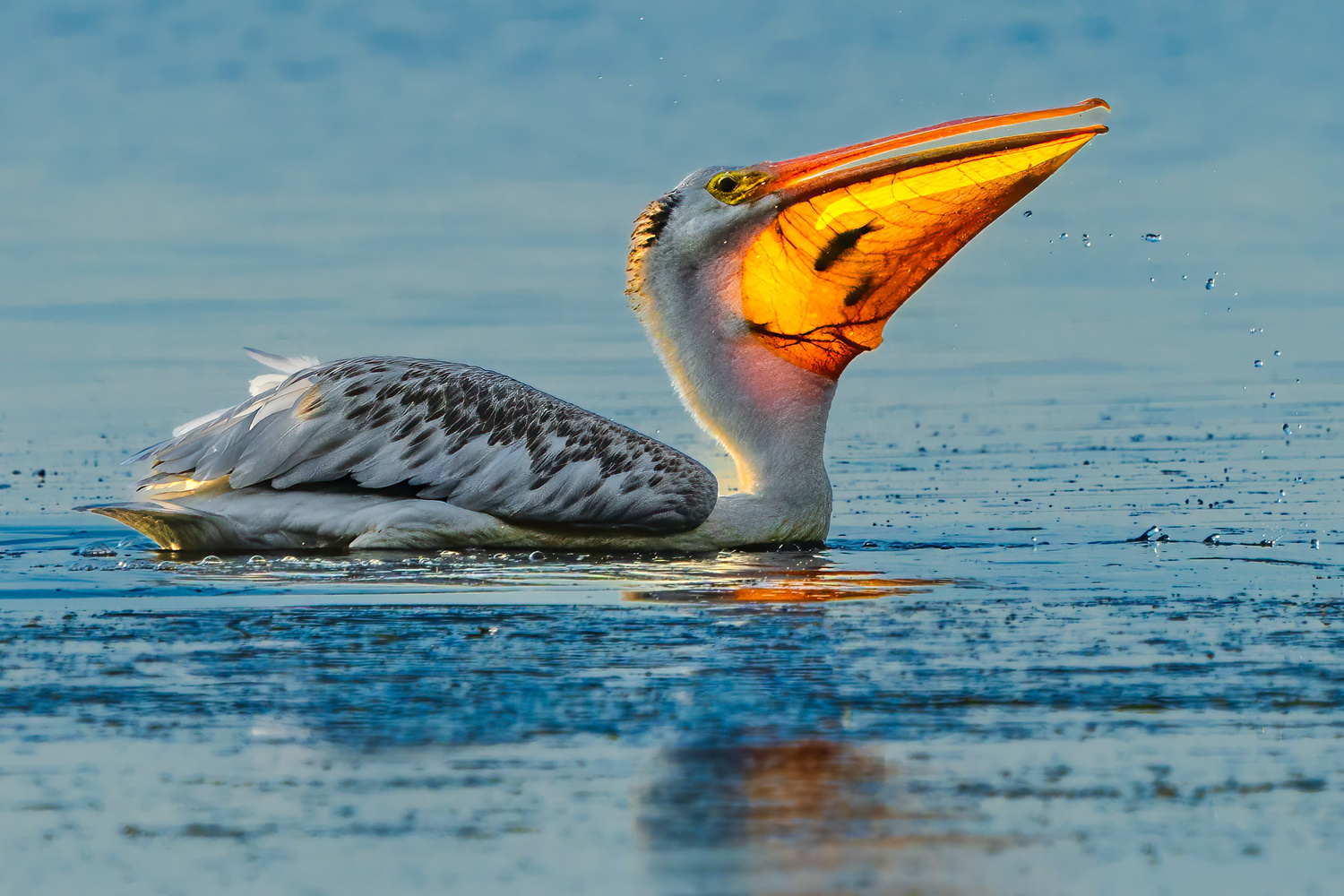 Snack Time - Michael Senn on Fstoppers