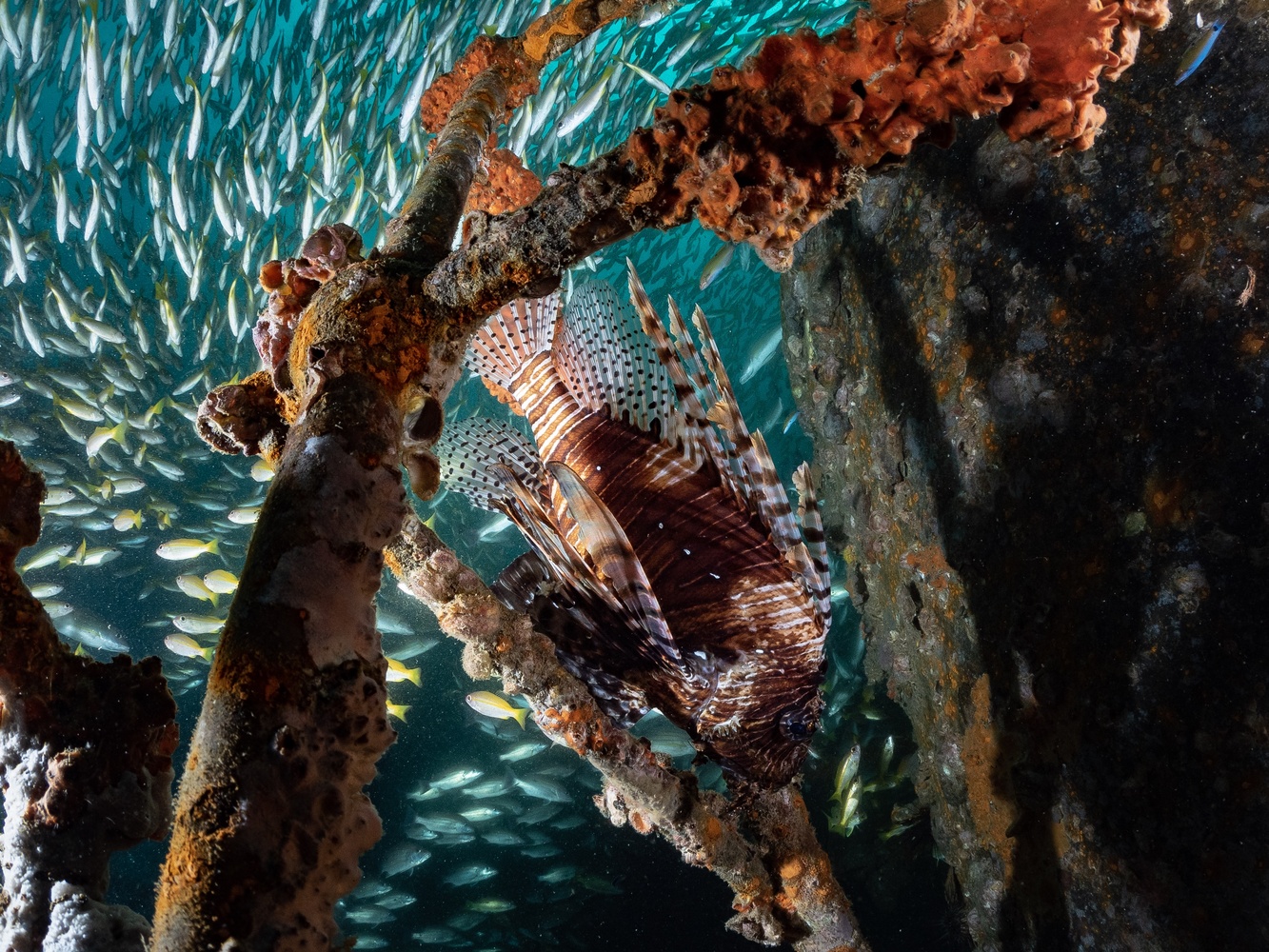 Orange and teal - Alexander Springborn on Fstoppers