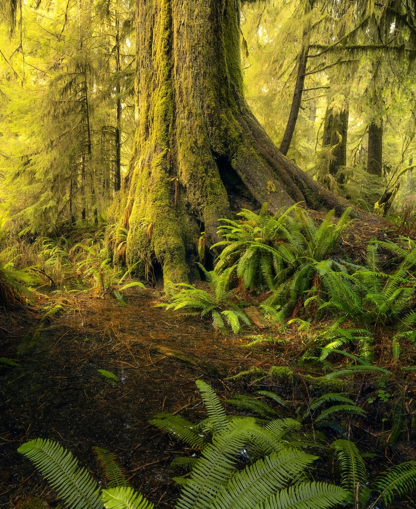 Among the Giants - Eric Thiessen on Fstoppers