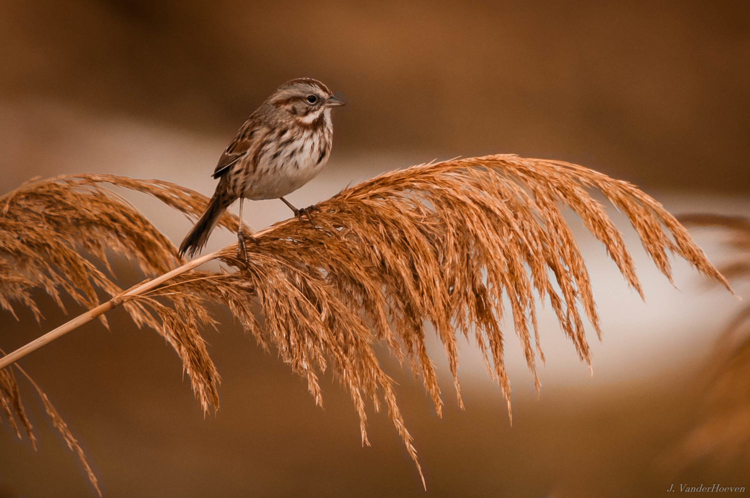 Simple Beauty by Jake VanderHoeven | Fstoppers