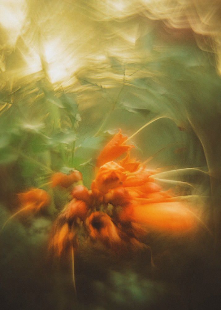 Soft Light Contest Entry by Joe Stroud | Fstoppers