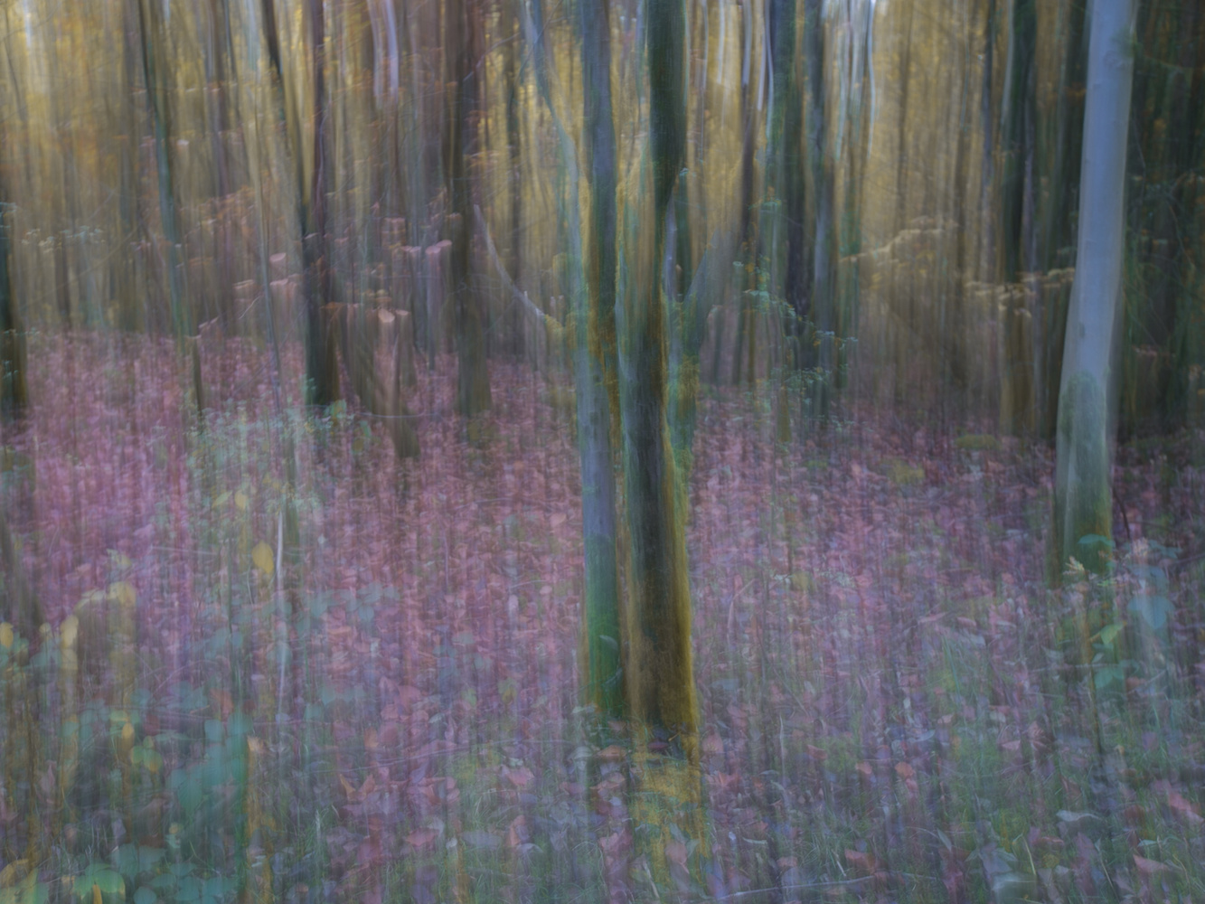 impressionist - Landscape and Nature Photography on Fstoppers