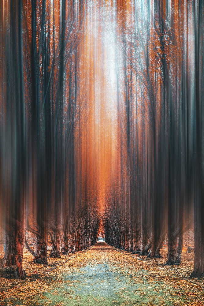 fade | Fstoppers