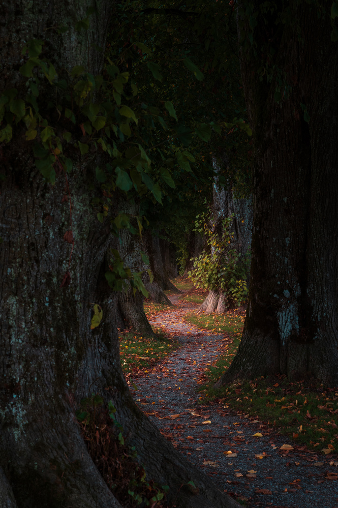 The Light of Autumn - Michael Bottari on Fstoppers