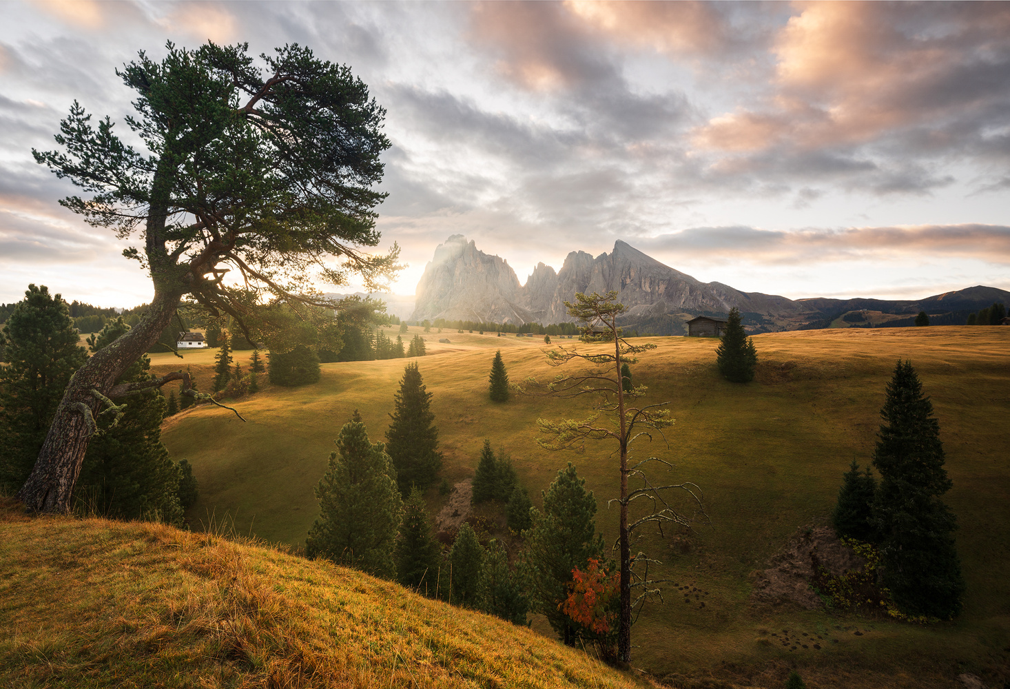 Seiser Alm by Michael Bottari | Fstoppers