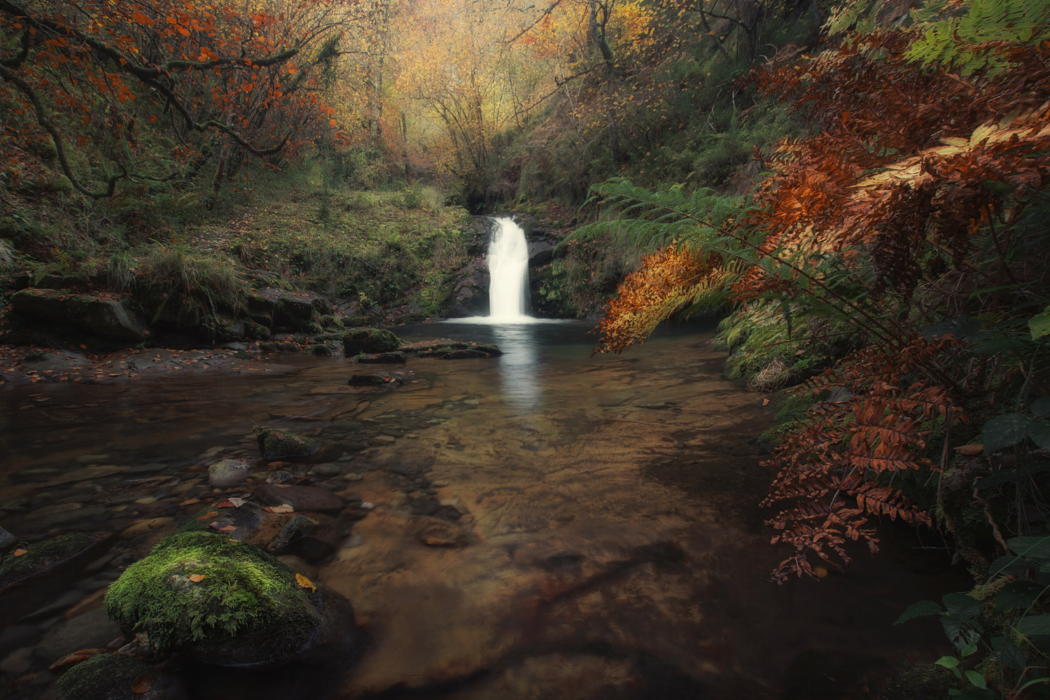 Dream forest - Alejandro García Bernardo on Fstoppers