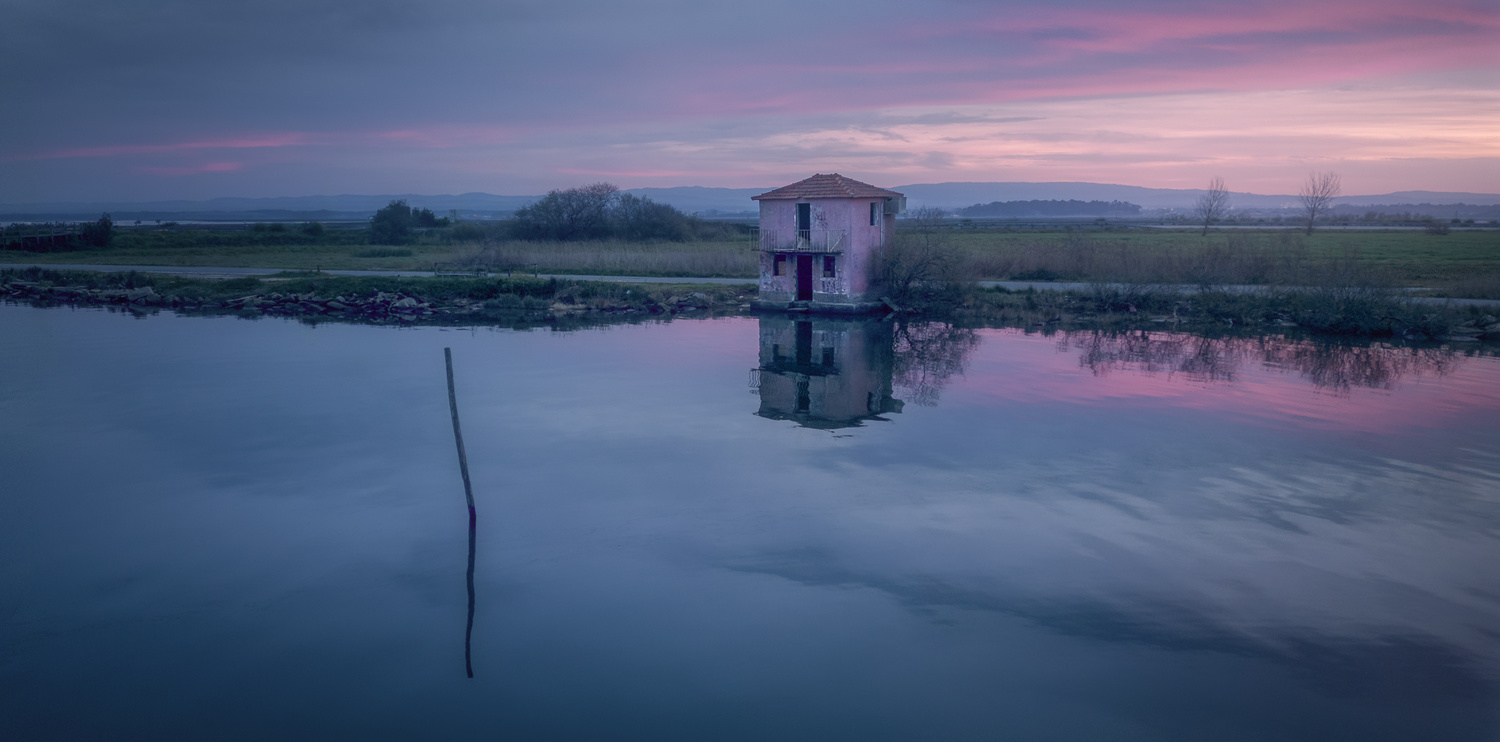 Pink - Tiago Marques on Fstoppers