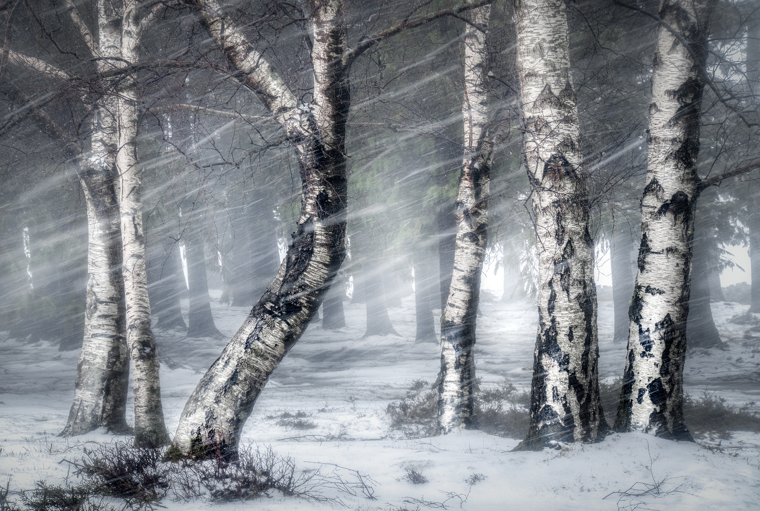 Winter Symphony - Tiago Marques on Fstoppers